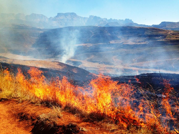 Gallery - Category: Fire: Jul-Sep 2015 - Image: Line of Fire - vertical ...